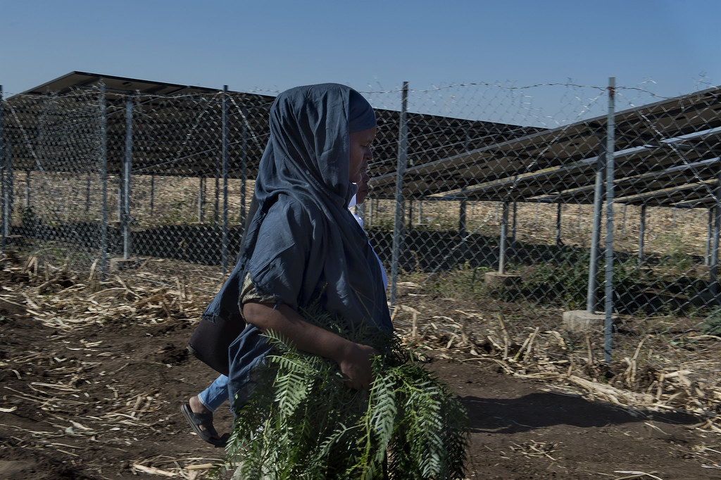 La AECID selecciona 13 propuestas de acciones de innovación y 5 de ...